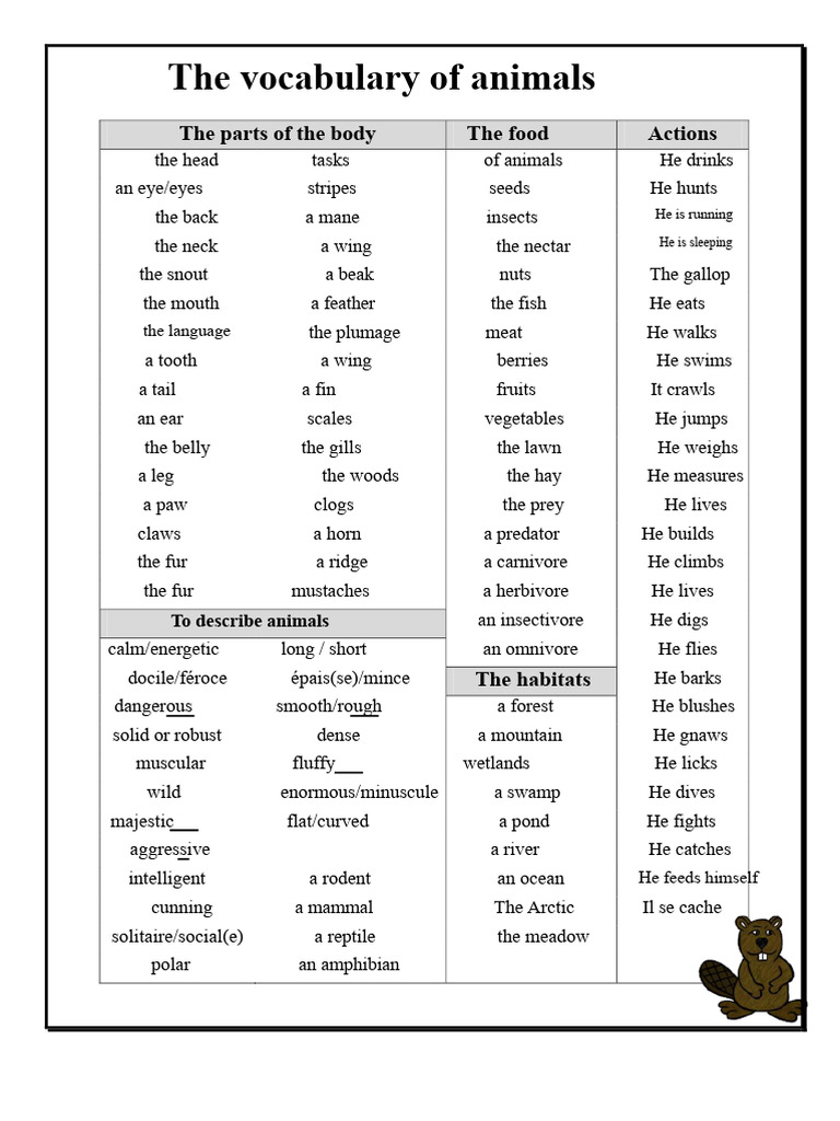 Animal Vocabulary and Descriptions | PDF