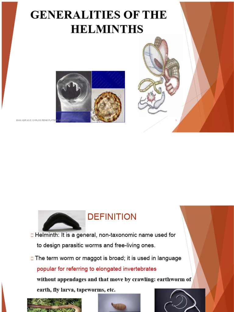 Helminths | PDF | Nematode | Biology