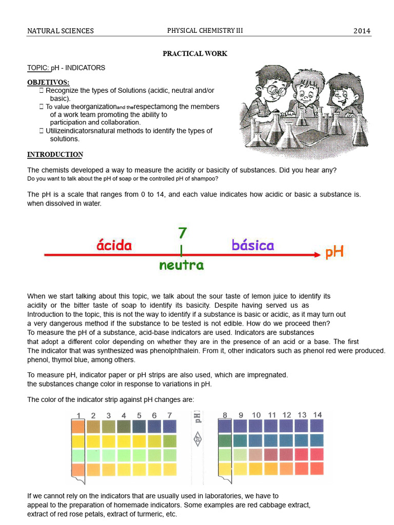 Practical Work | PDF | Sodium Bicarbonate | Ph