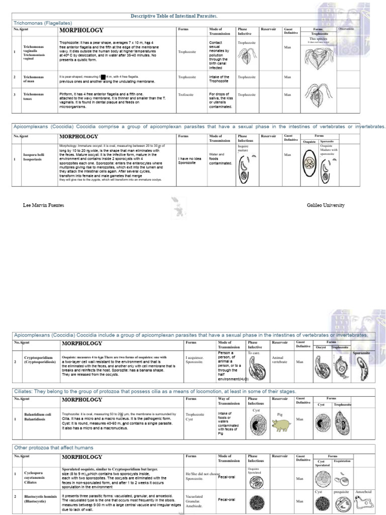 Intestinal Parasites Chart I | PDF | Microbiology | Parasitology
