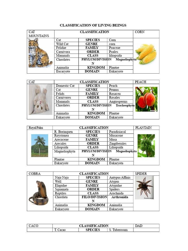 Classification of Living Beings | PDF | Organisms | Taxonomy (Biology)