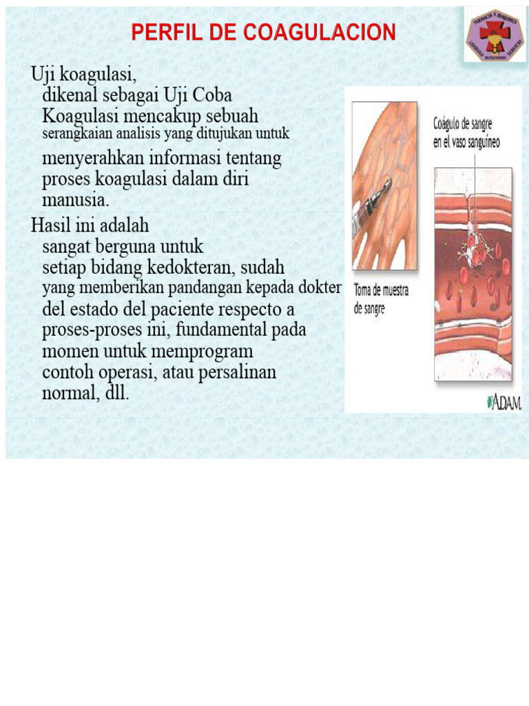 Profil Koagulasi | PDF