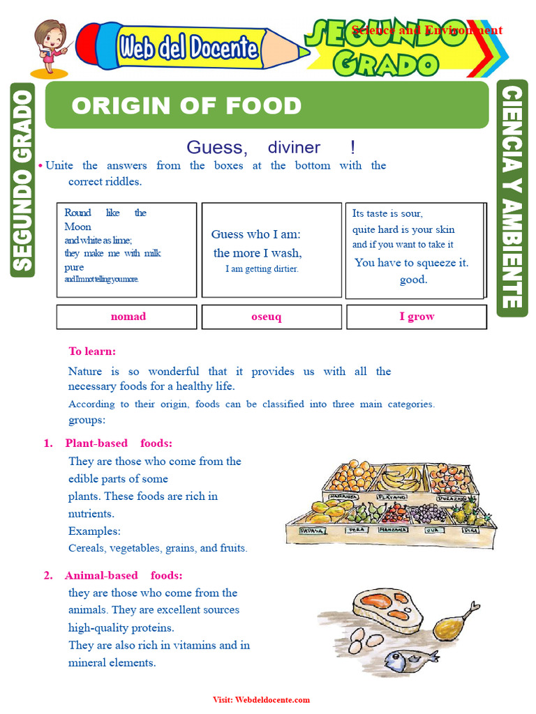 Foods For Second Grade of Primary School | PDF | Foods | Nutrition