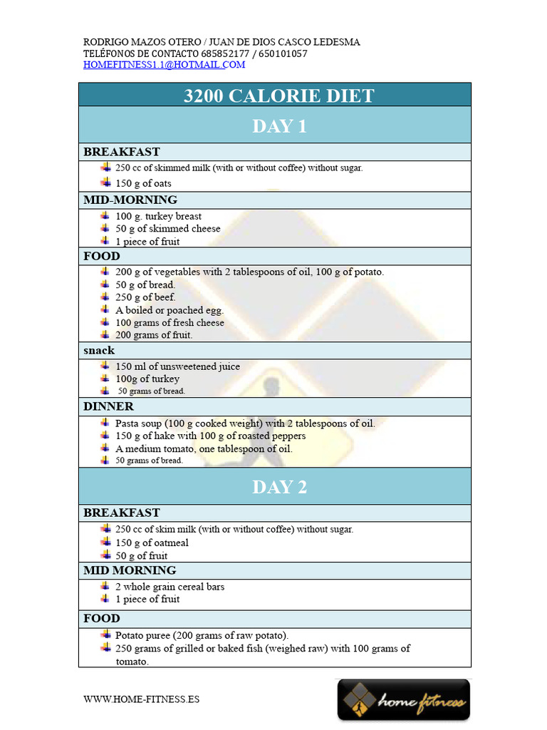 Modified 3200 Calorie Diet | PDF | Foods | Breads