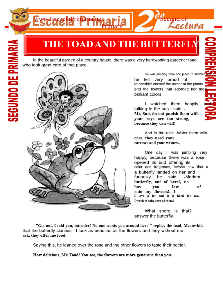 The Toad and The Butterfly For Second Grade | PDF