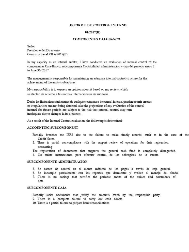 Internal Control Report | PDF | Internal Control | Accounting