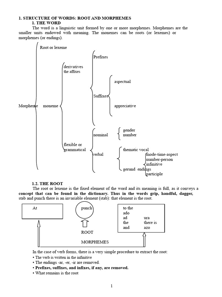 Structure of Root Words and Morphemes | PDF | Word | Grammatical ...