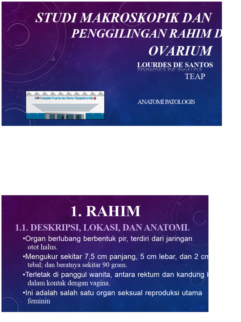 8 Ukiran Rahim dan Ovarium | PDF