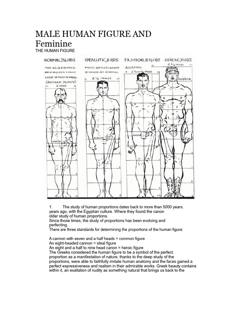 Human Figure Proportions and Anatomy Guide | PDF | Hand | Finger