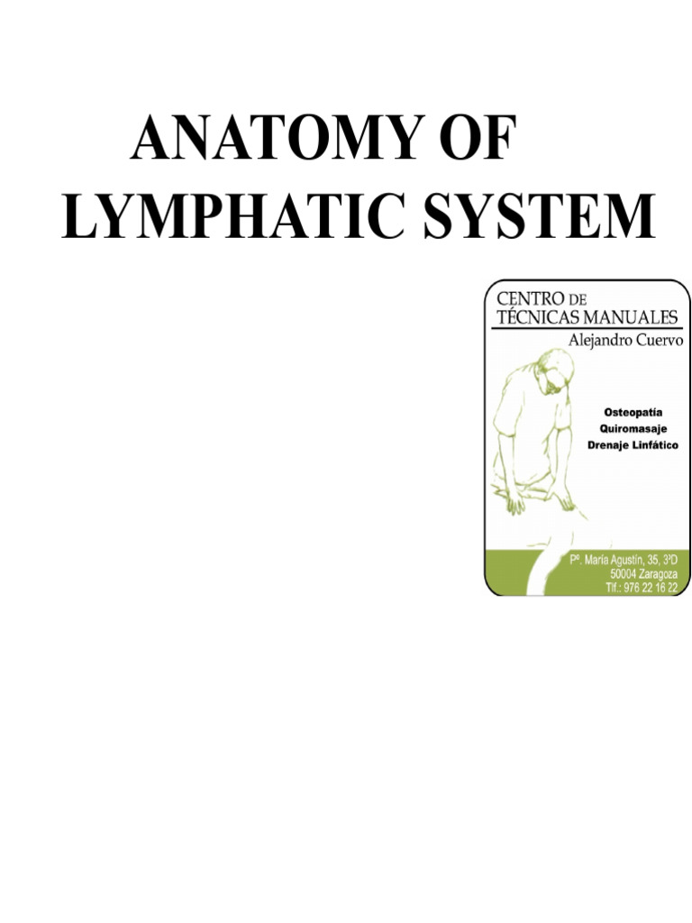 Anatomy of the Lymphatic System | PDF | Lymphatic System | Lymph
