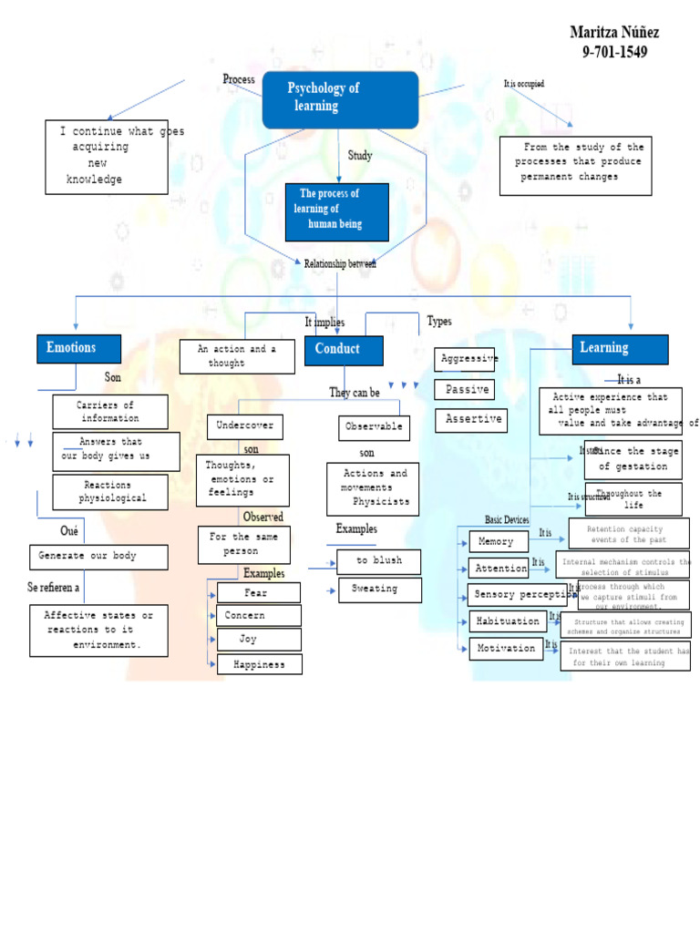 Understanding Human Learning Processes | PDF | Learning | Emotions