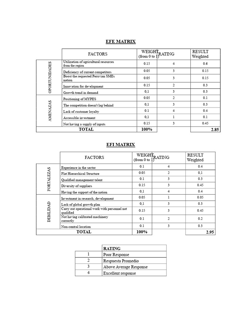 EFE and EFI Matrix Analysis for SMEs | PDF | Swot Analysis | Economies