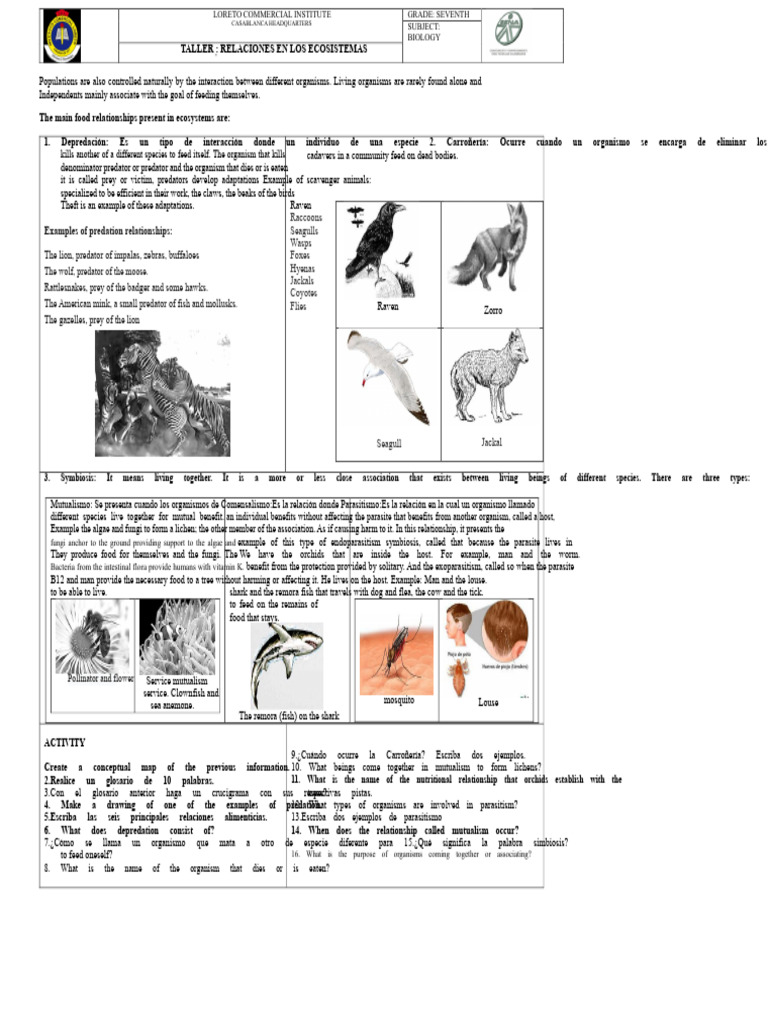 Sixth Workshop Relationships in Ecosystems | PDF | Predation | Symbiosis