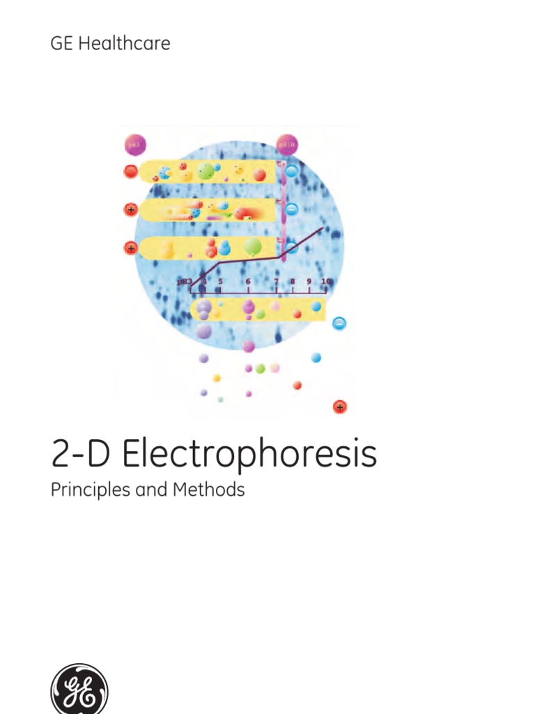 2D Electrophoresis - Principles and Methods | PDF
