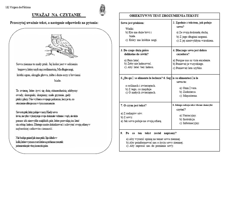 Sowa | PDF