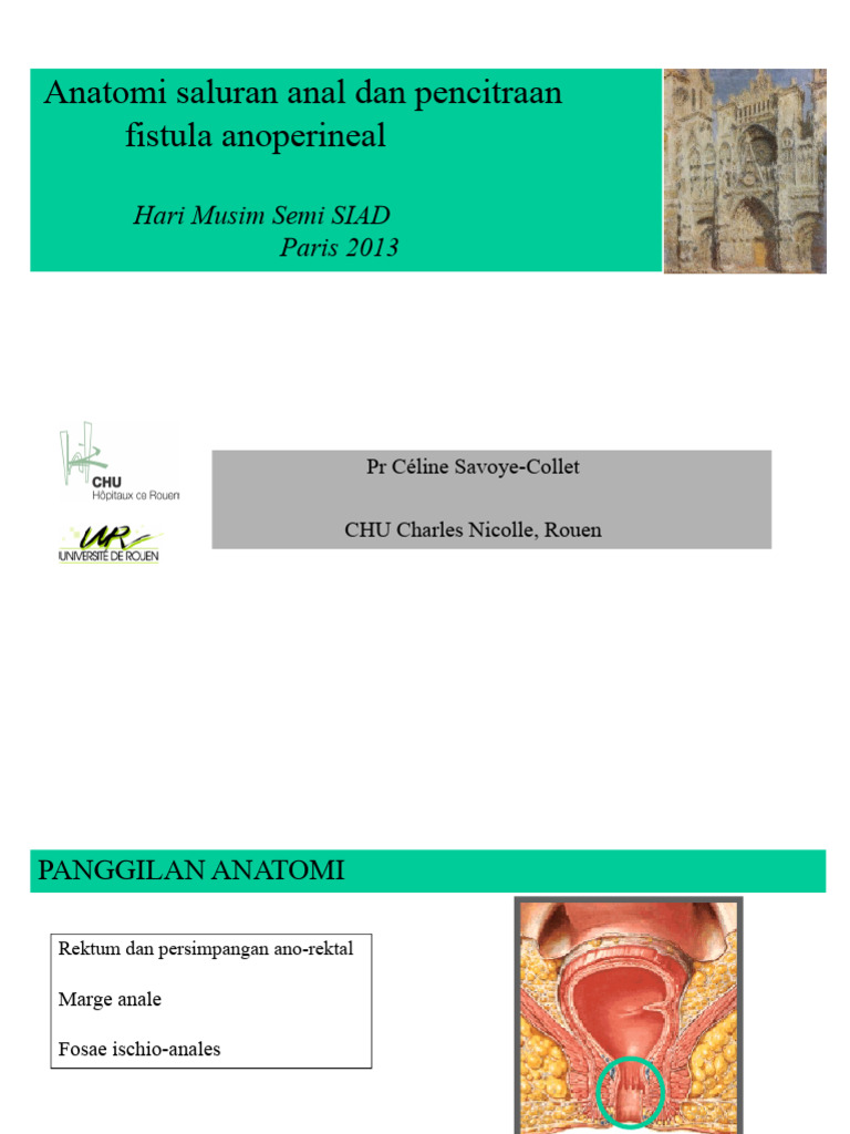 10 Anatomi Saluran Anal dan Pencitraan Fistula | PDF