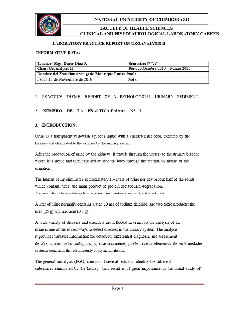 Pathological Urinary Sediment Report | PDF | Urine | Kidney