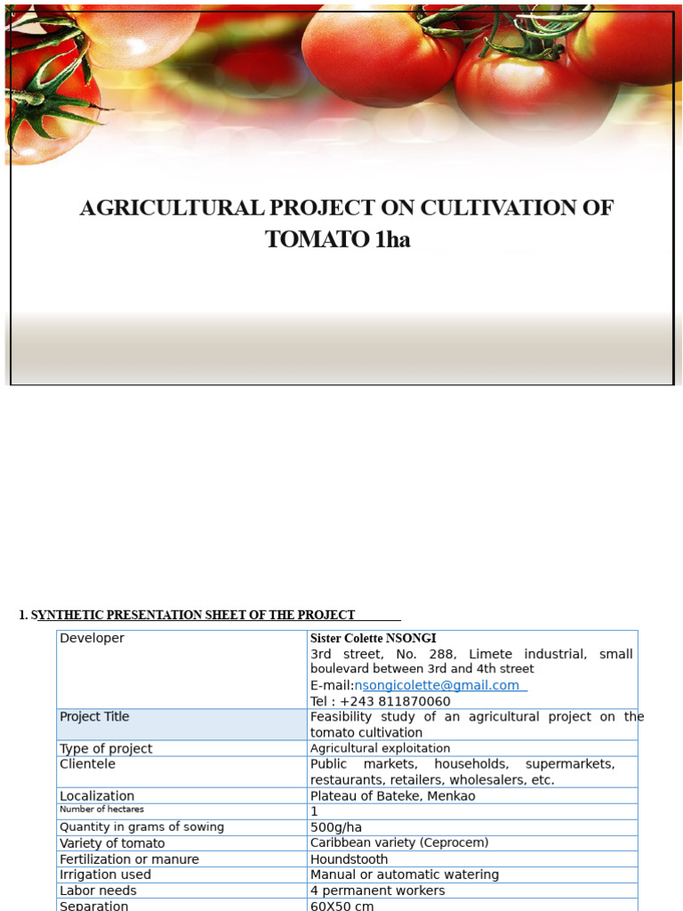 Tomato Cultivation Feasibility Study | PDF | Soil | Plough