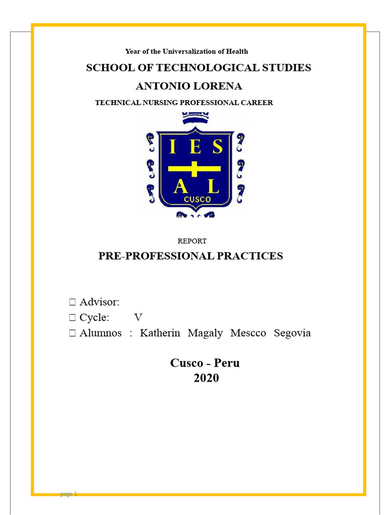 Nursing Pre-Professional Practice Report | PDF | Public Participation ...