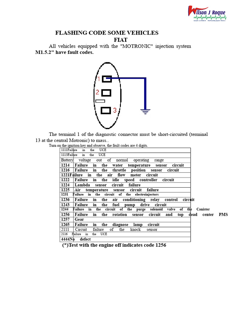 Flashing Code Some Vehicles | PDF | Throttle | Fuel Injection