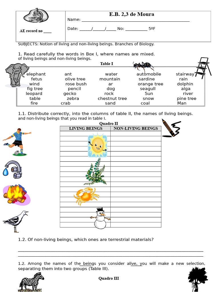 Sheet AE No. 2 Living Beings and Non-Living Beings | PDF | Biology