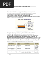 Exercises on Direct Proportionality | PDF