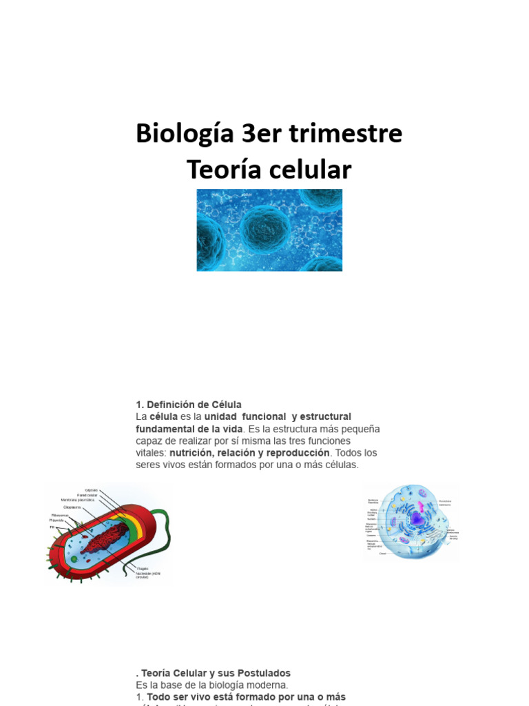 Teoria Celular Biologia Tercer Trimestre | PDF | Biología Celular ...