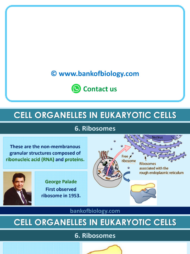 Cell The Structure of Life - Detailed Notes | PDF