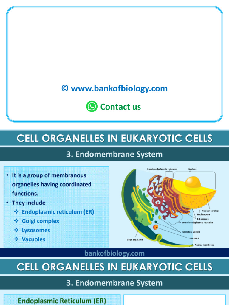 8 Cell-The Unit of Life Ppt - Part 4._pdf.urlgd.com | PDF