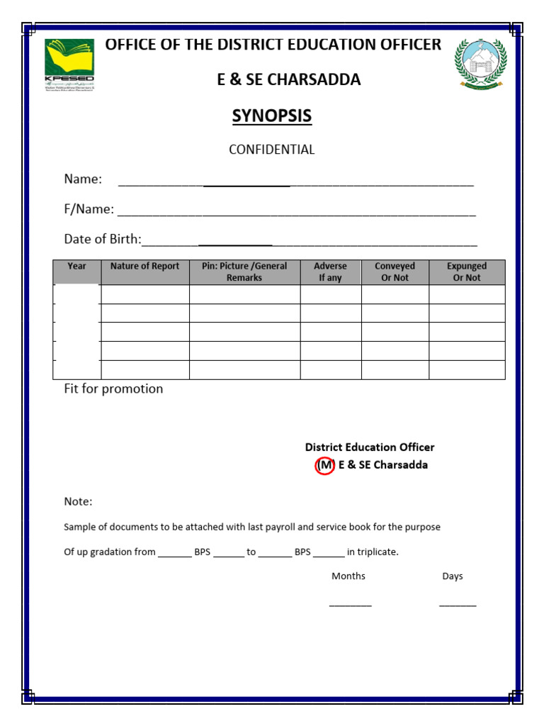 Confidential Promotion Report Template | PDF