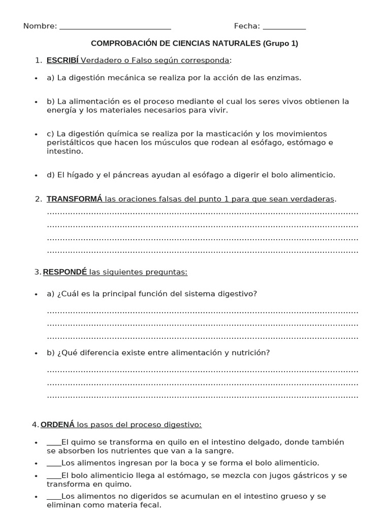 Comprobación Ciencias Naturales-Sistema Digestivo | PDF | Digestión ...