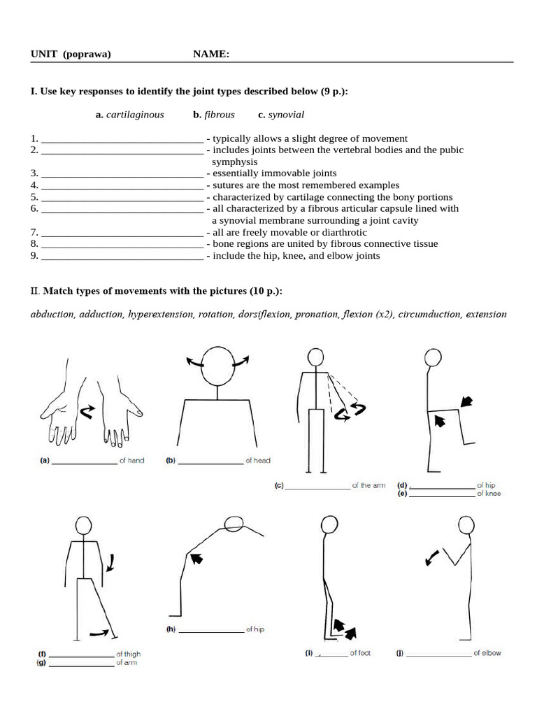 Types of Joints and Movements Explained | PDF | Anatomical Terms Of ...