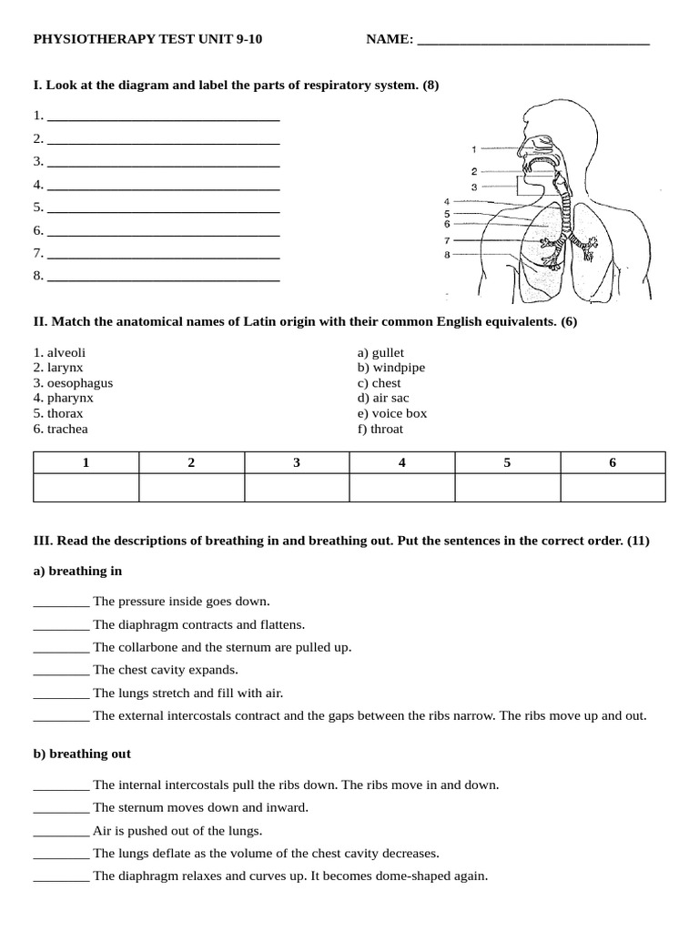 Physiotherapy Test Unit 9-10 | PDF | Thorax | Lung