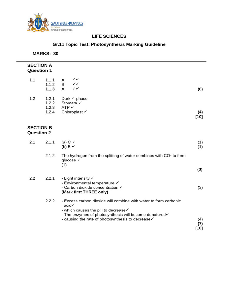 Gr.11 Topic Test Photosynthesis Marking Guideline 2023 | PDF ...