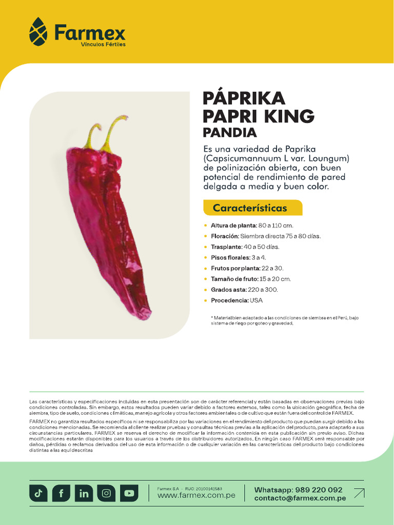 Paprika Papri King | PDF
