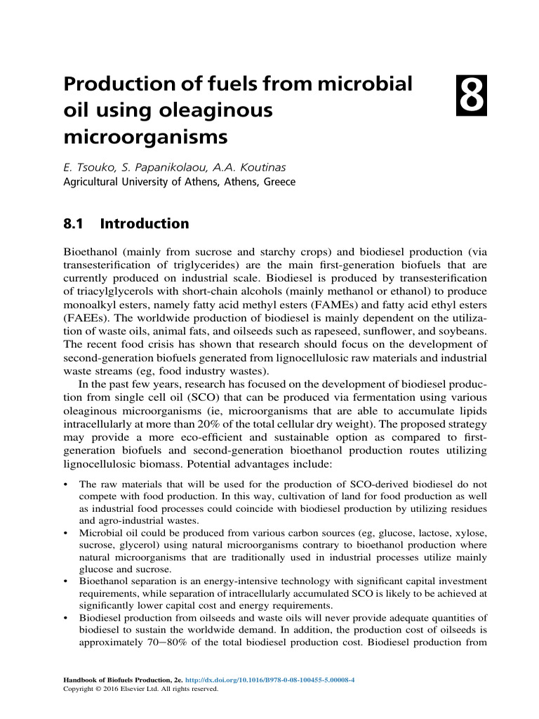 Microbial Oil for Sustainable Biodiesel | PDF | Biofuel | Citric Acid Cycle