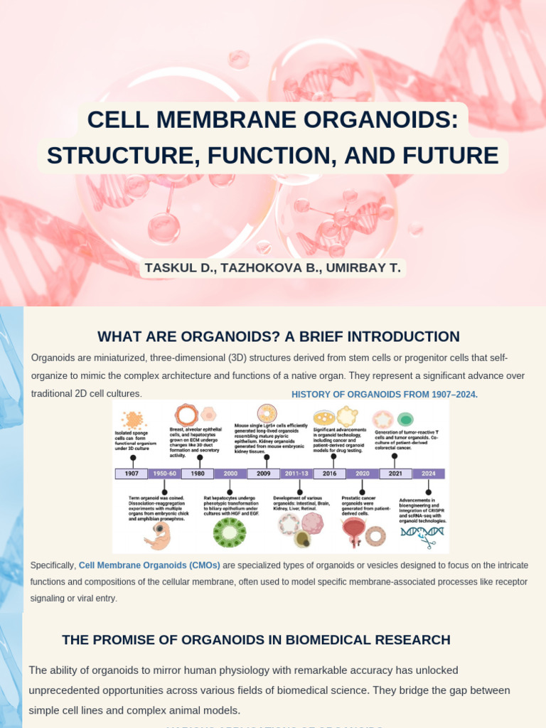Cell Membrane Organoids Structure Function and Future PDF | PDF | Cell ...