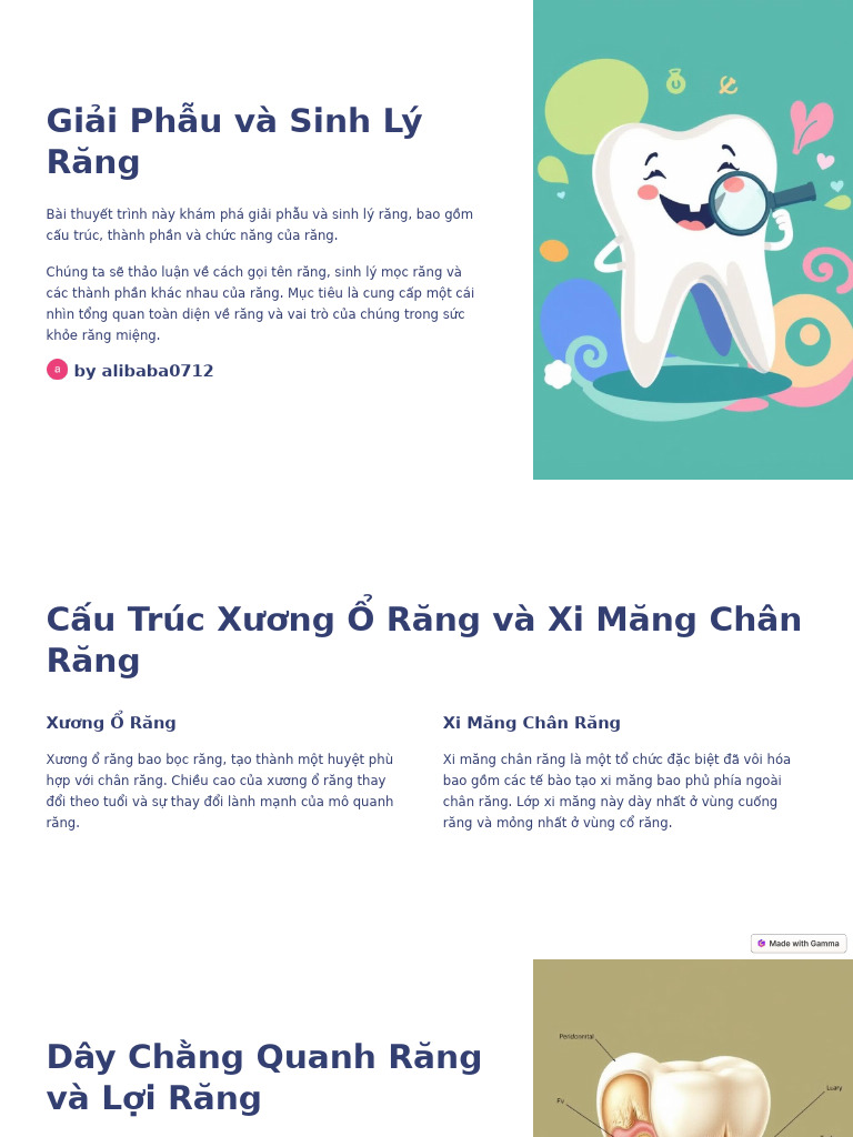 Giai Phau Va Sinh Ly Rang | PDF