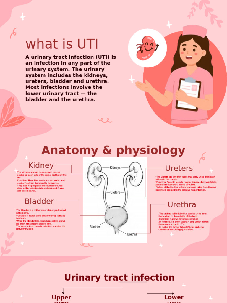 Urinary Tract Infection | PDF | Urinary Tract Infection | Urinary System