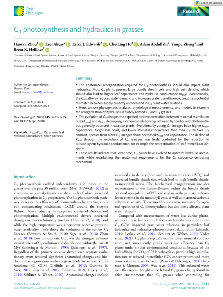 C4 Photosynthesis and Hydraulics in Grasses | PDF | Photosynthesis | Leaf