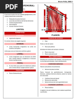 Anatomia da Região Poplítea | PDF | Joelho | Anatomia humana