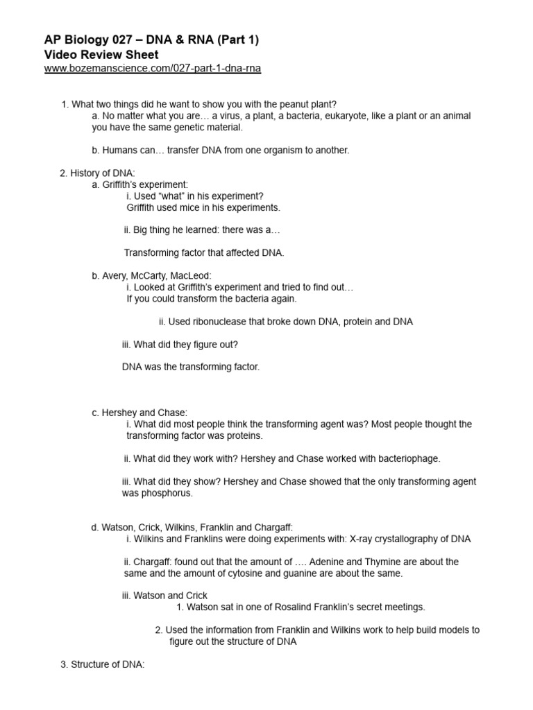 AP Biology: DNA & RNA Overview | PDF | Dna | Macromolecules