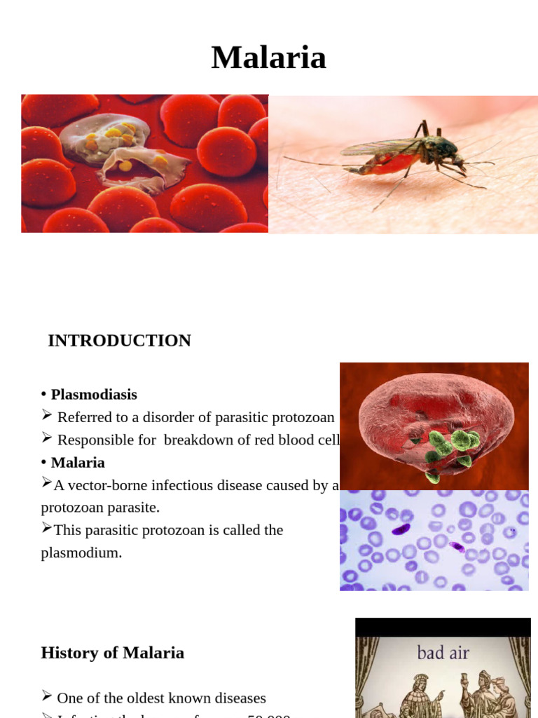 Malaria | PDF | Plasmodium | Malaria