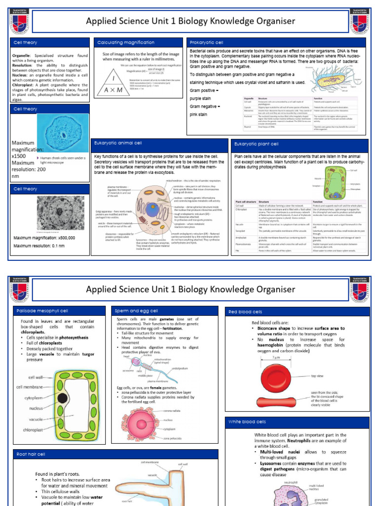 Biology Knowledge Organiser Overview | PDF | Cell (Biology) | Neurotransmitter