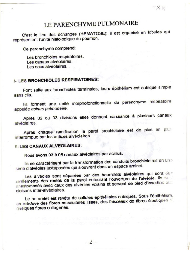 Histologie2an-Parenchyme Pulmonaire | PDF