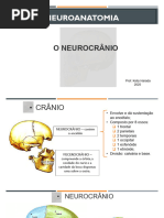 Forames do Crânio e Suas Estruturas | PDF | Anatomia humana | Anatomia dos primatas