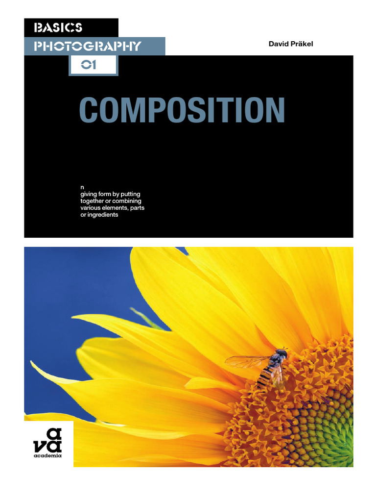 Photography Composition Basics Guide | PDF | Camera | Image