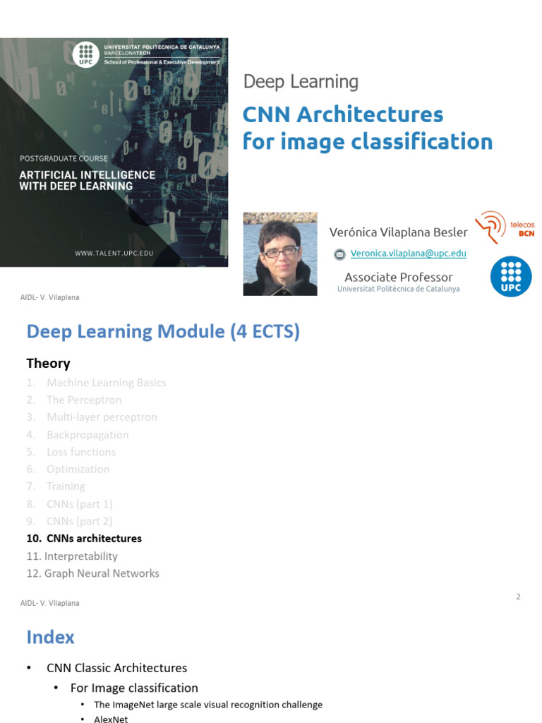CNN Architectures for Image Classification | PDF | Deep Learning ...