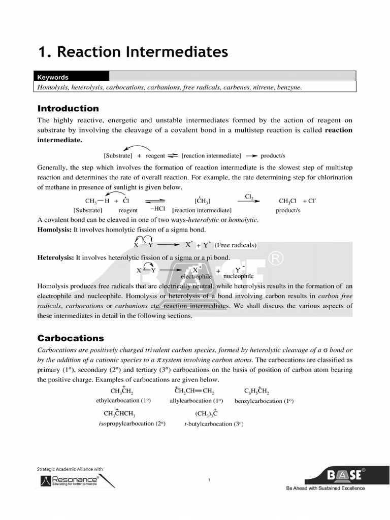 Reaction Intermediates Module | PDF