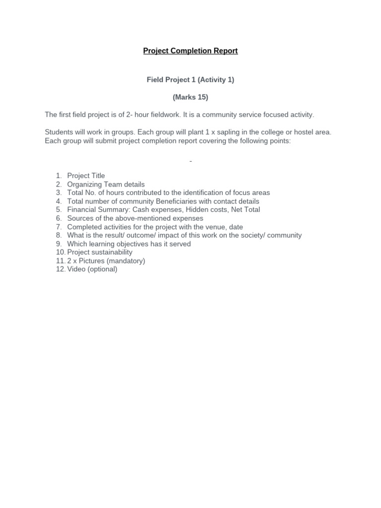 Community Service Project Report Guide | PDF